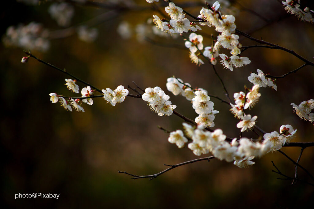 【エンターテインメント】SEGAのロゴマークとロゴ作成の参考になるポイント | ロゴ作成デザインに役立つまとめ